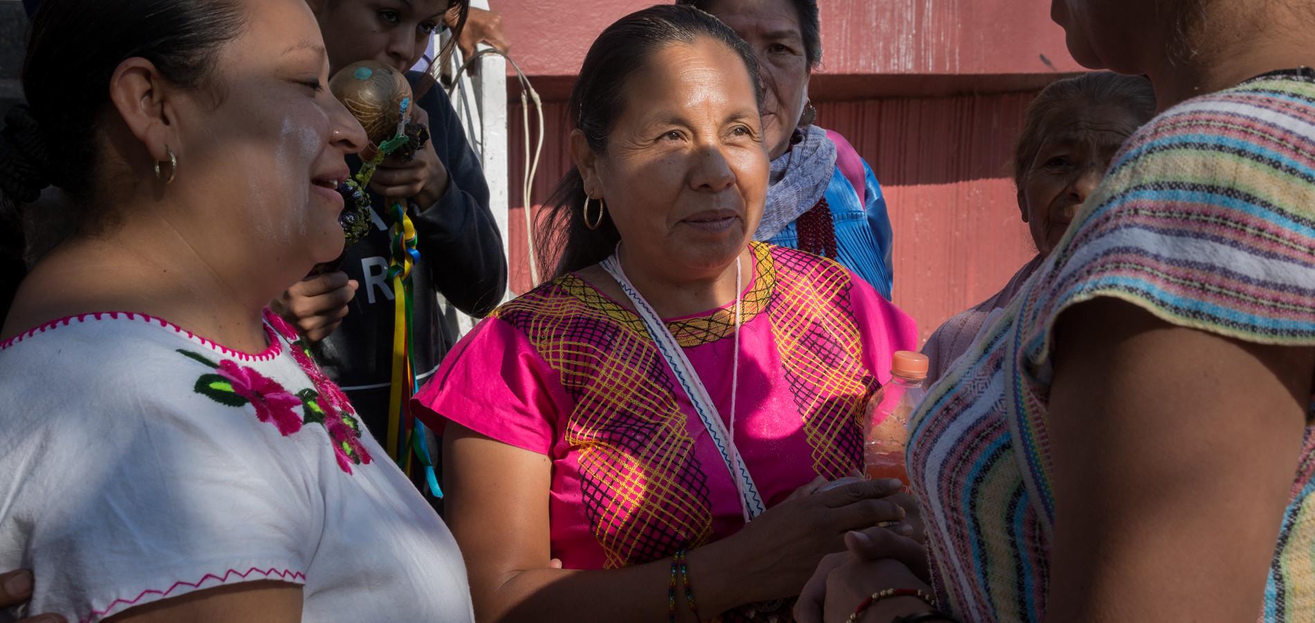 Marichuy Patricio Martínez, Mexico's First Indigenous Woman to Run for ...
